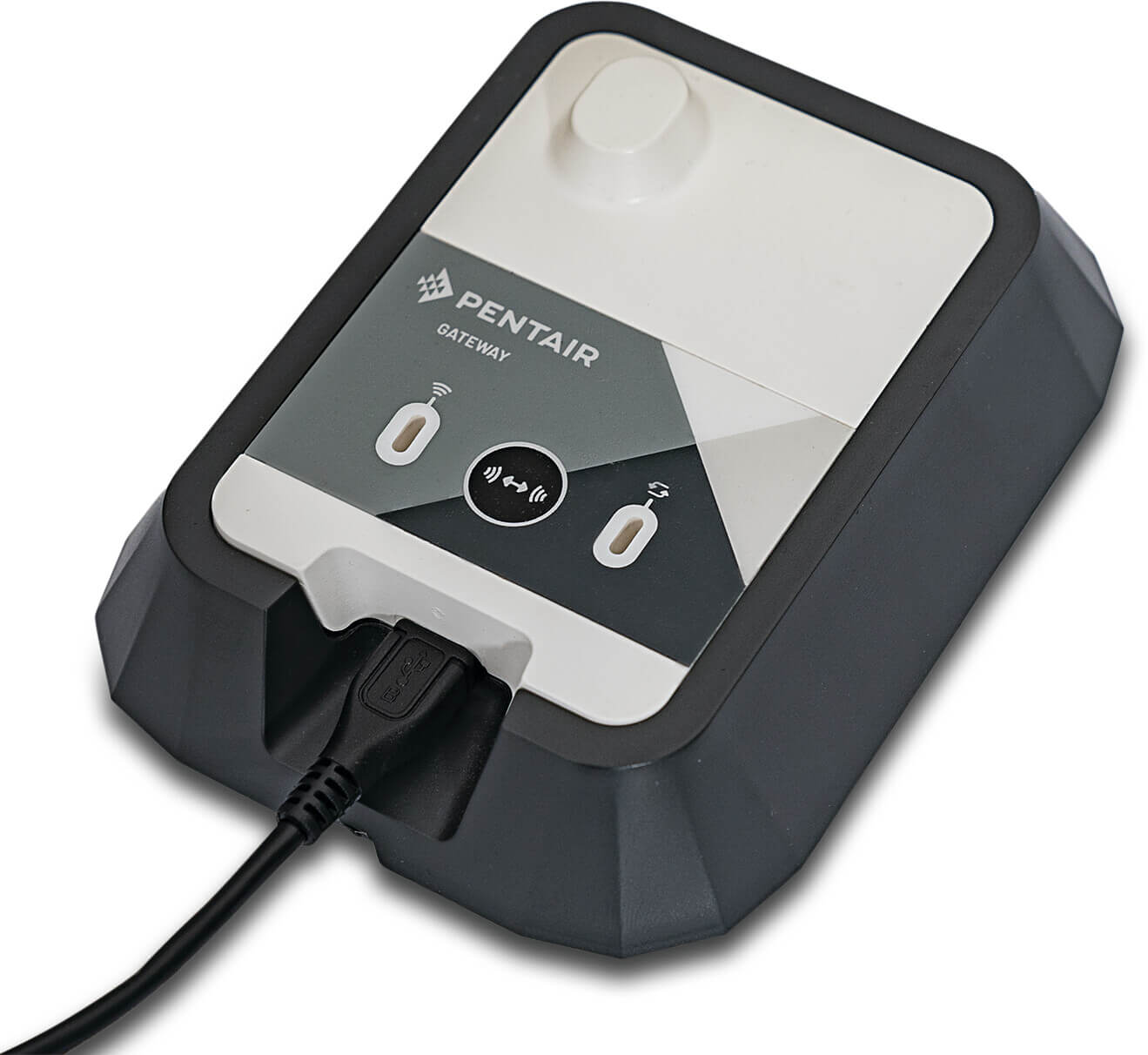 Pentair Gateway